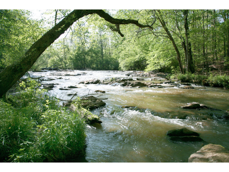 Environmental Stewardship | Georgia-Pacific