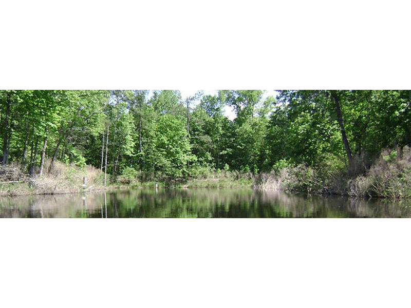 Savannah River Mill Environment | Georgia-Pacific